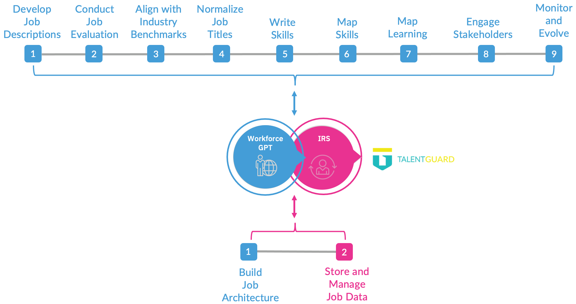 What Is Job Architecture? A 2025 Guide + 2 Examples | TalentGuard